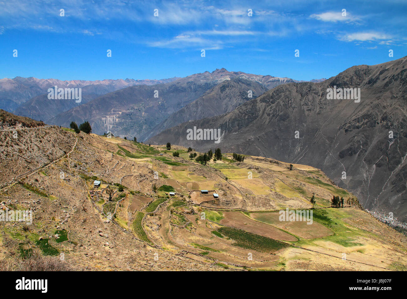 Stepped terraces in Colca Canyon in Peru. It is one of the deepest ...