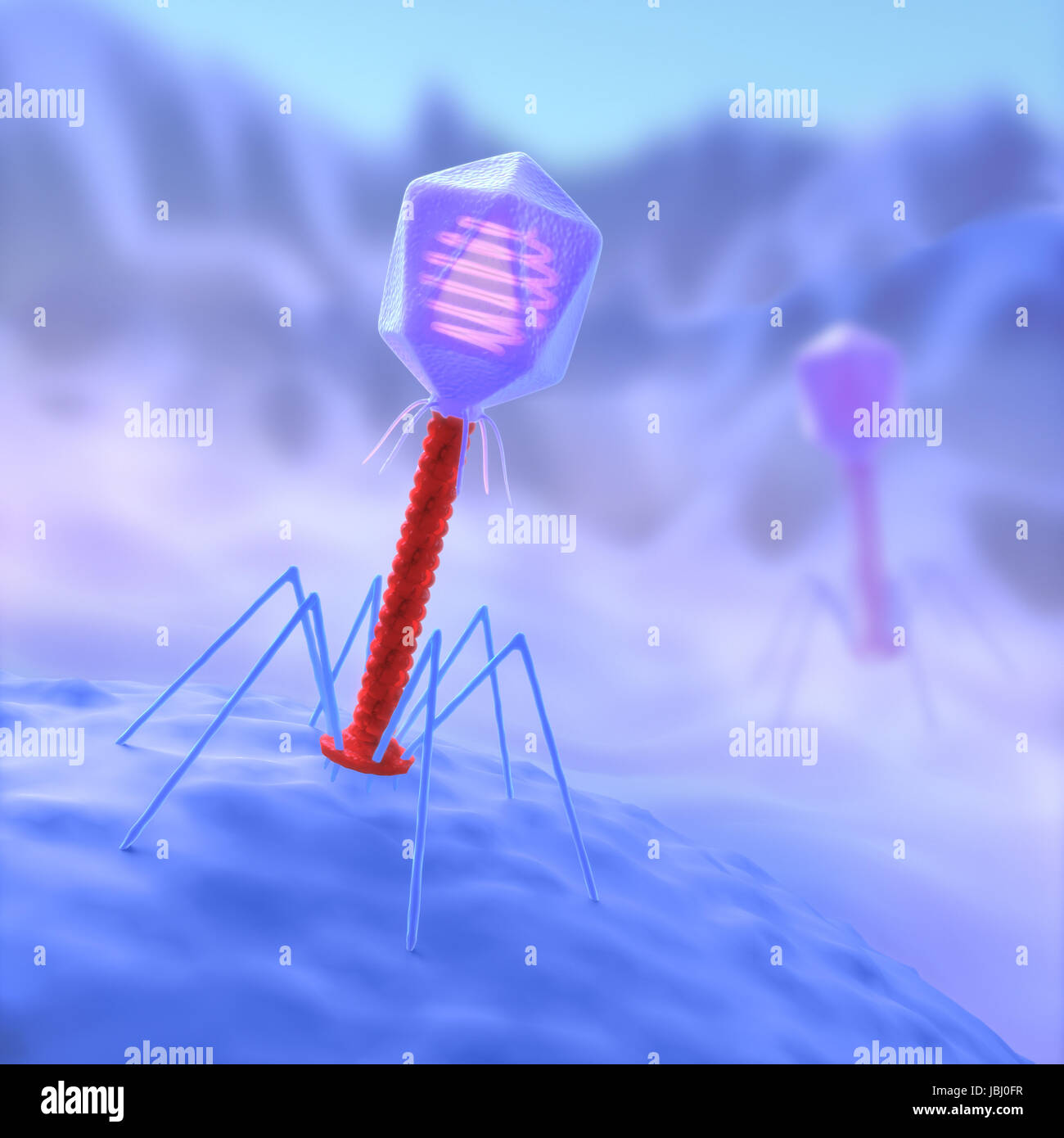 Concept of attack. Bacteriophage are viruses that infect bacteria Stock ...