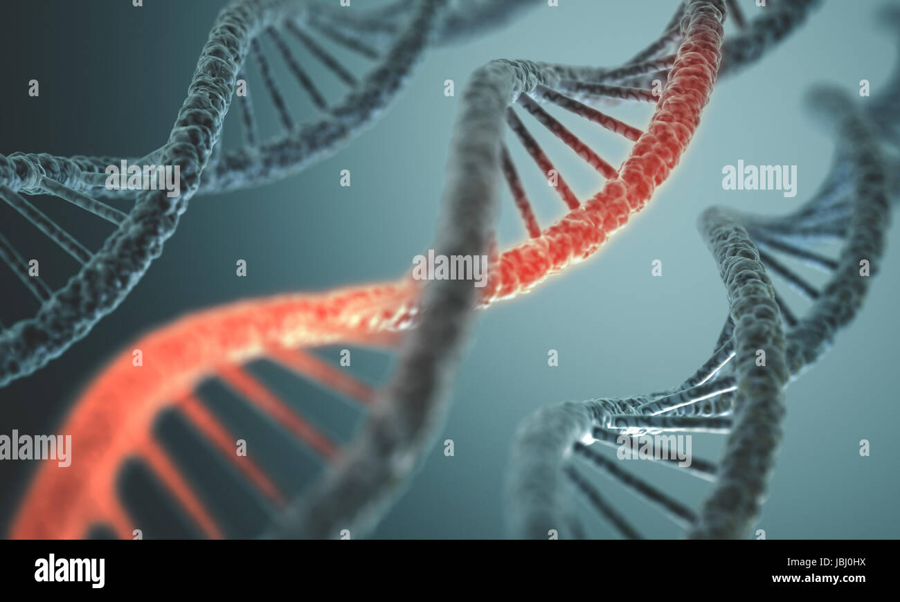 Long structure of the DNA double helix in depth of view Stock Photo - Alamy