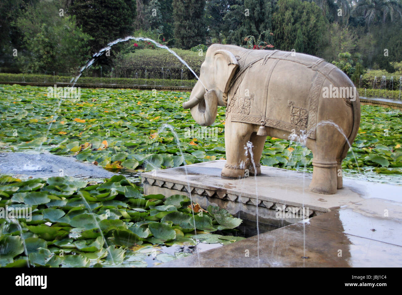 Royal, luxurious lotus pond for the maids at Saheliyon ki Bari in ...