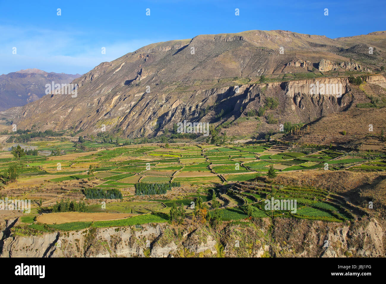 Stepped terrace hi-res stock photography and images - Alamy
