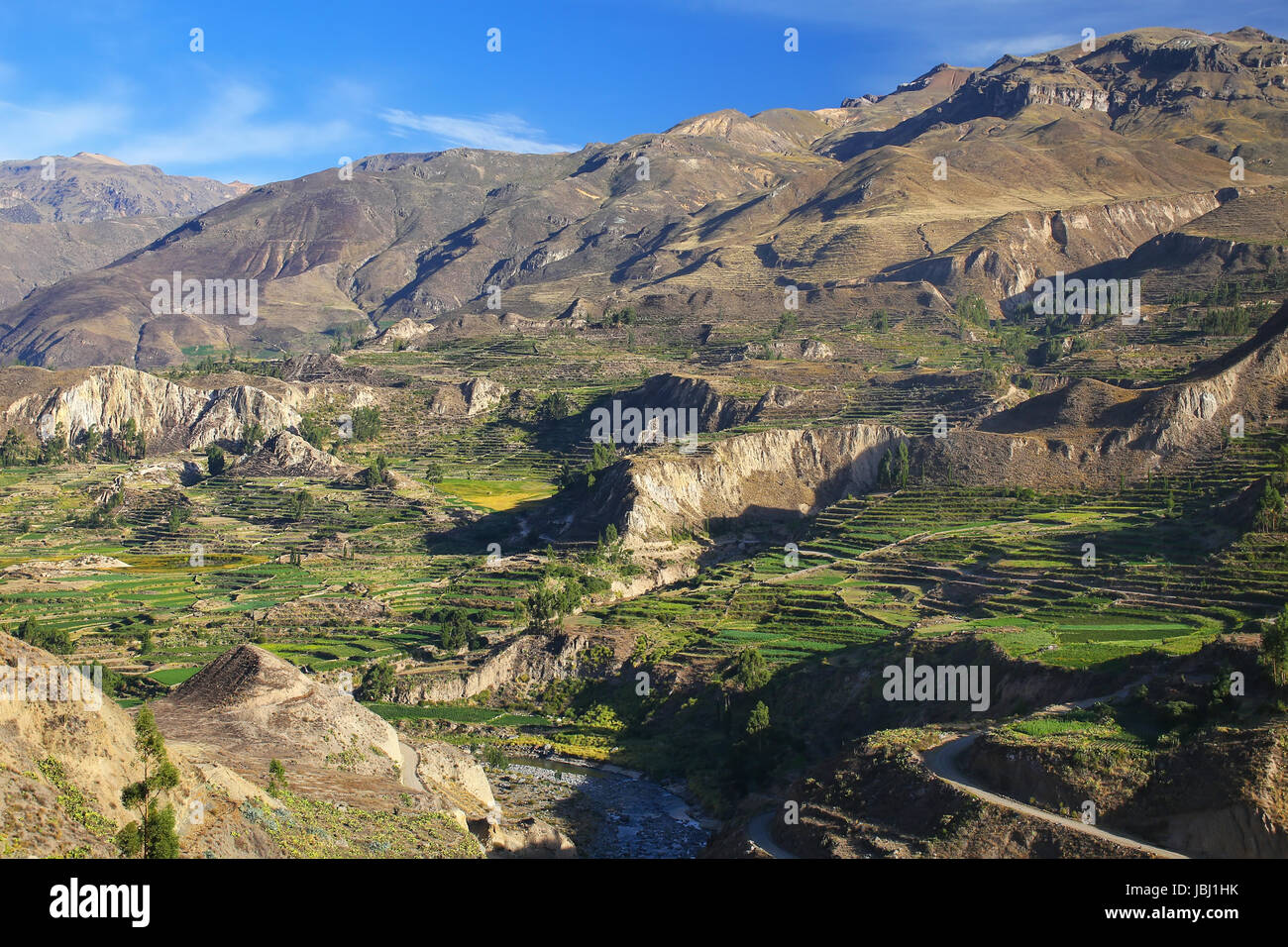 Stepped terraces in Colca Canyon in Peru. It is one of the deepest ...