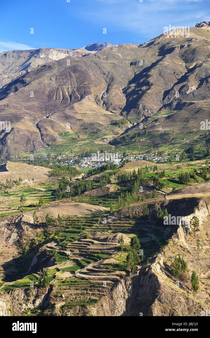 Stepped terraces in Colca Canyon in Peru. It is one of the deepest ...