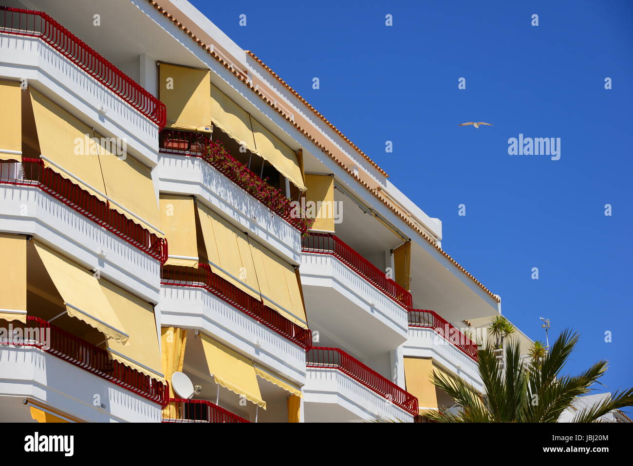 human human being Stock Photo - Alamy