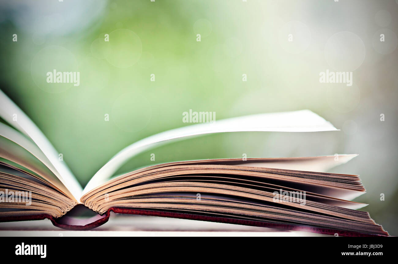 Close up on open book Stock Photo - Alamy