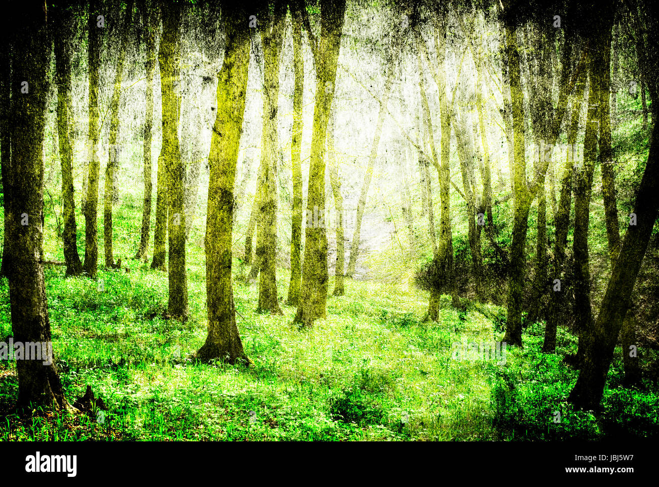 grunge forest background with space for text or image Stock Photo - Alamy