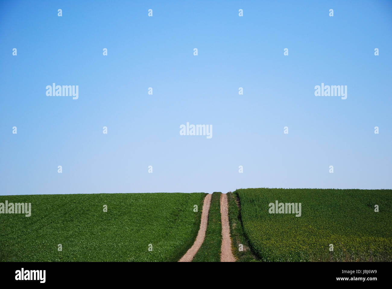 Straight country road in a rural landscape at springtime Stock Photo ...