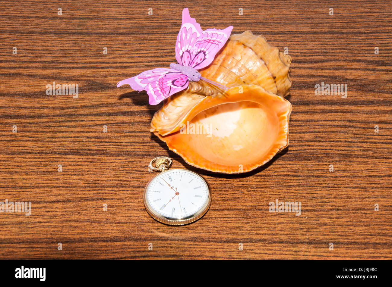 Seashell and hours of time to assemble in summer vacation Stock Photo ...