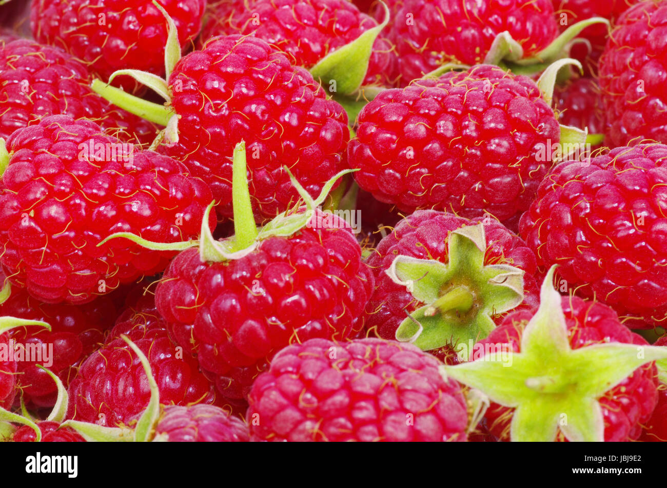 sweet fresh raspberry close up Stock Photo - Alamy