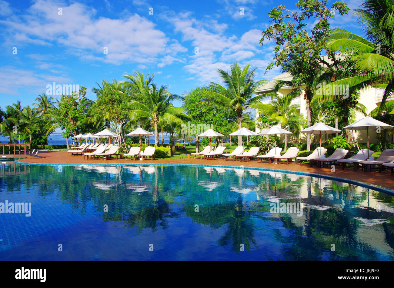 swimming pool with coconut tree and white umbrella Stock Photo - Alamy