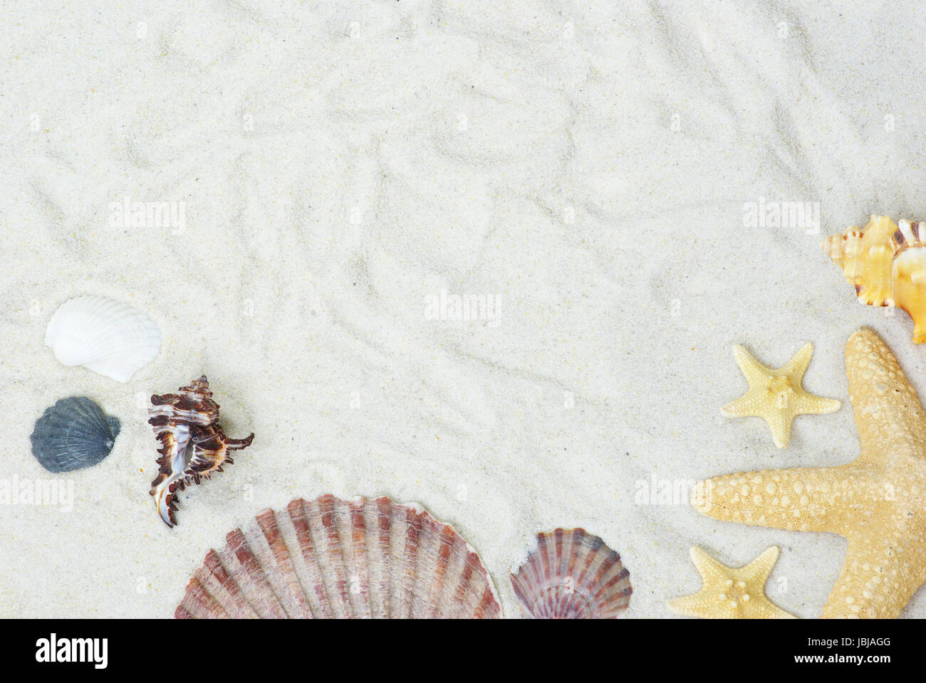 starfish and shells on the beach sand Stock Photo - Alamy