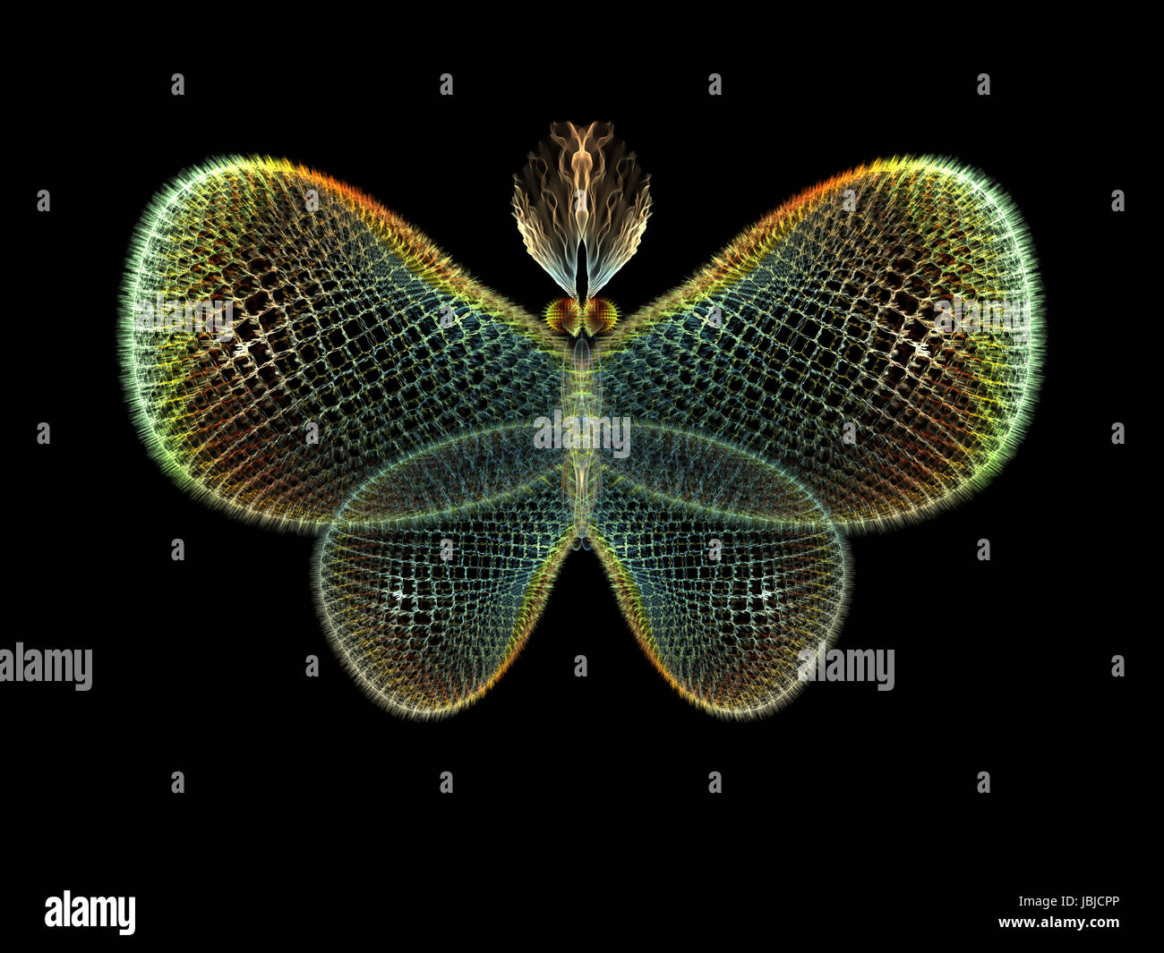 Never Were Butterflies series. Composition of isolated butterfly ...