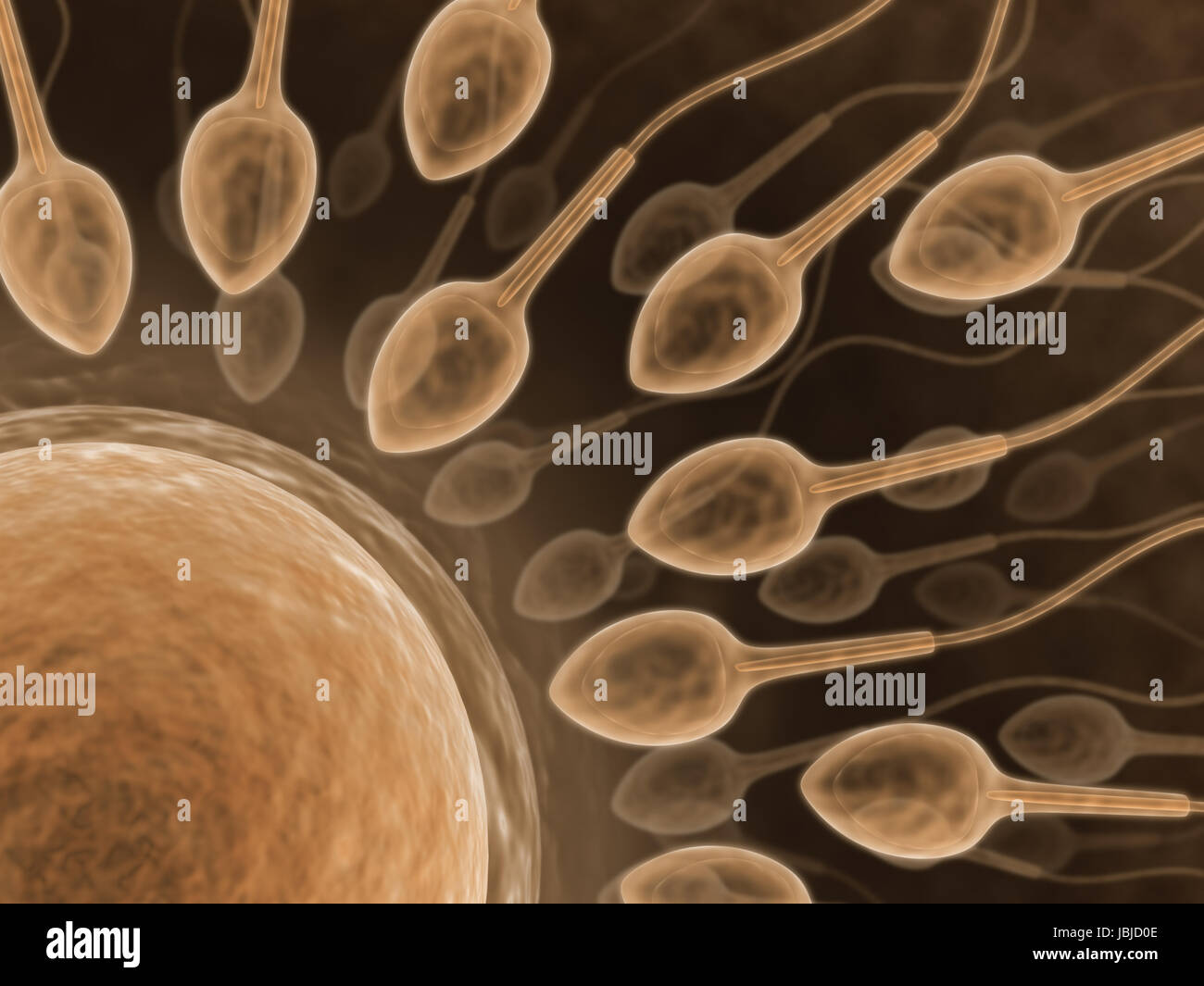 A lot of sperms going to the ovule. Image concept of fecundation Stock ...
