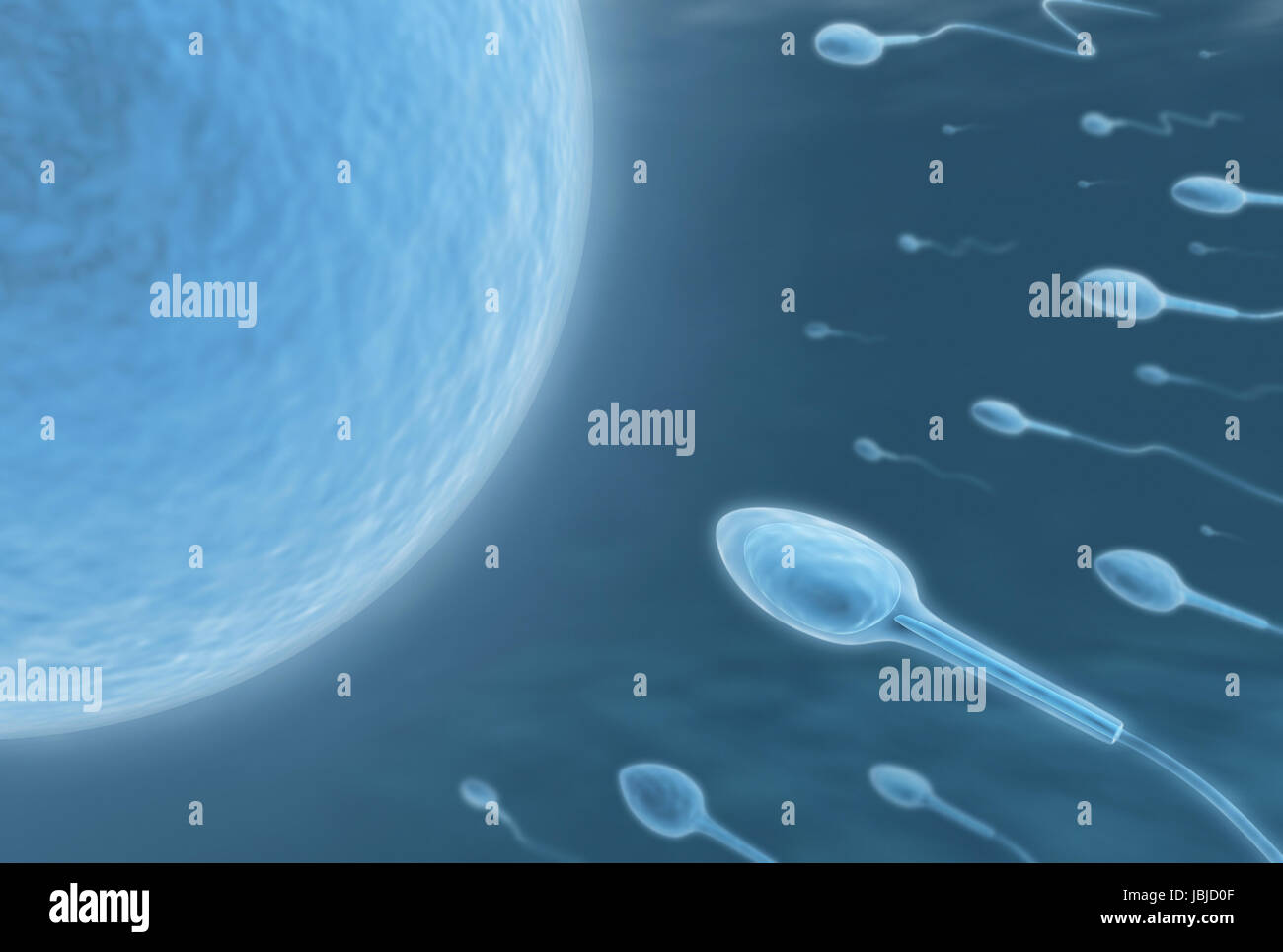 A lot of sperms going to the ovule. Image concept of fecundation Stock ...