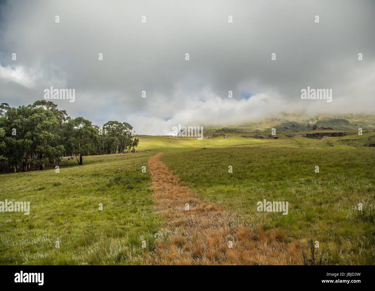 Landscape of the Drakensberge at the Mkhomazi Wilderness area in South ...