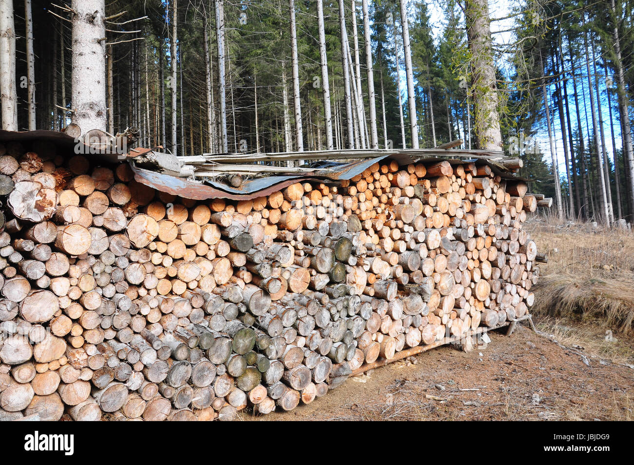 Stapel aus Fichtenholz Stock Photo - Alamy