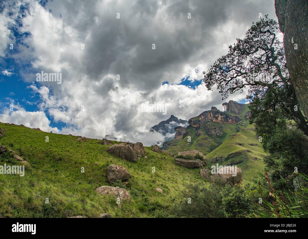 Landscape of the Drakensberge at the Mkhomazi Wilderness area in South ...