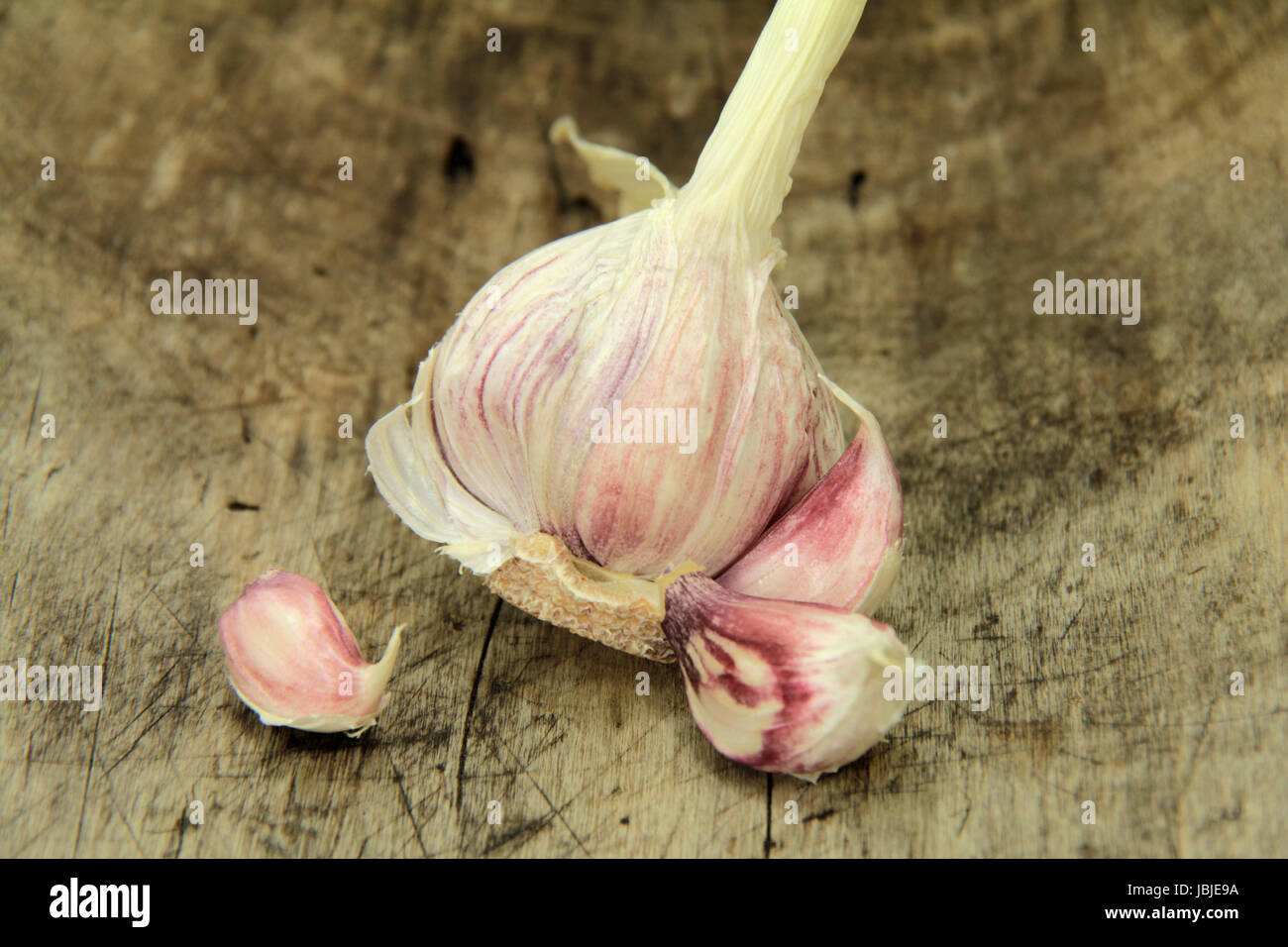 fresh garlic bulb Stock Photo - Alamy