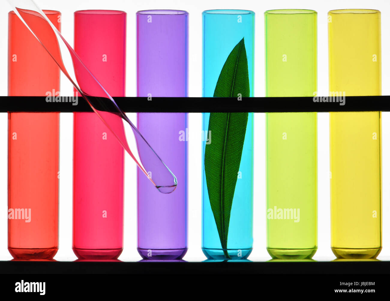 Biology coloured hi-res stock photography and images - Alamy