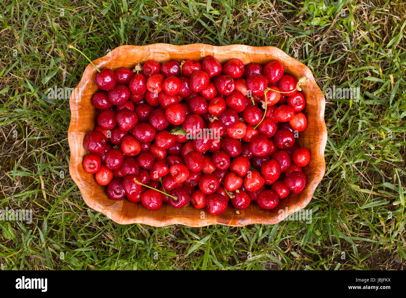 Cherry in grass hi-res stock photography and images - Alamy