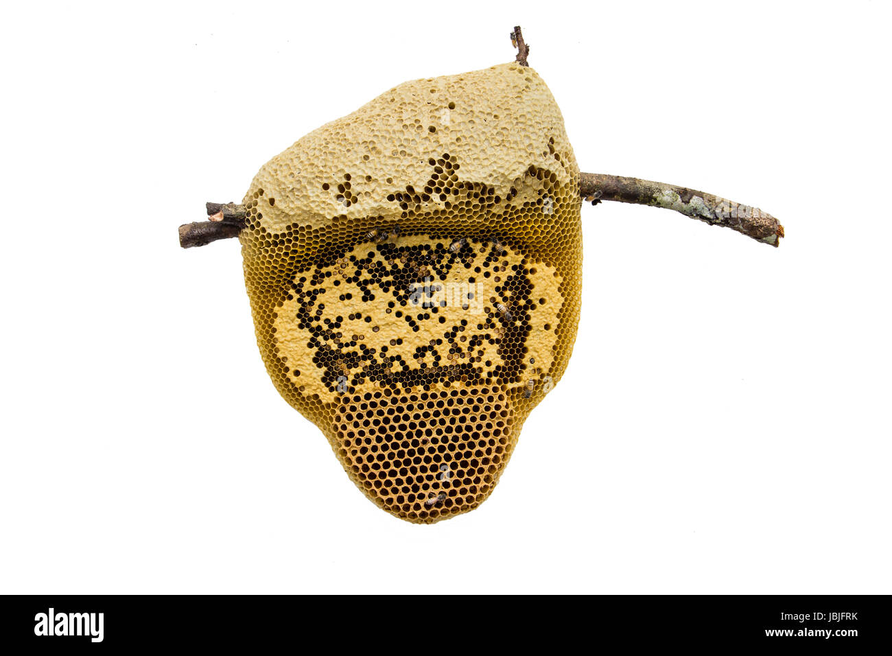 Harvest sweet organic honey Cut Out Stock Images & Pictures - Alamy