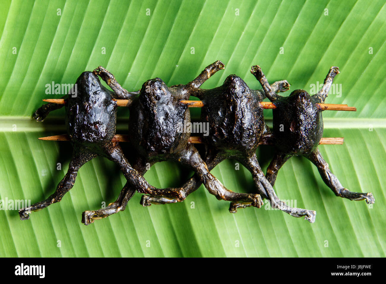Bulk of bullfrog on stove for food later Stock Photo - Alamy