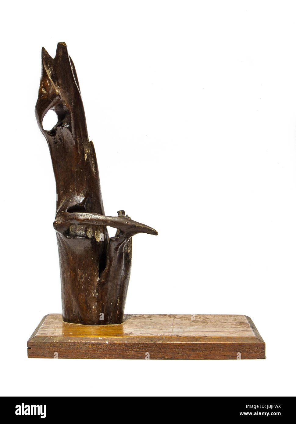 the wooden Vase made from tree roots with wood base on white background ...