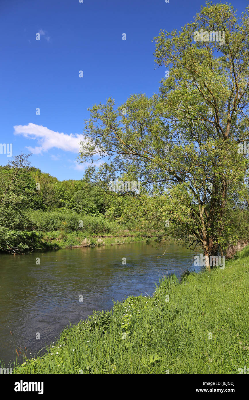 stone conservation of nature Stock Photo - Alamy