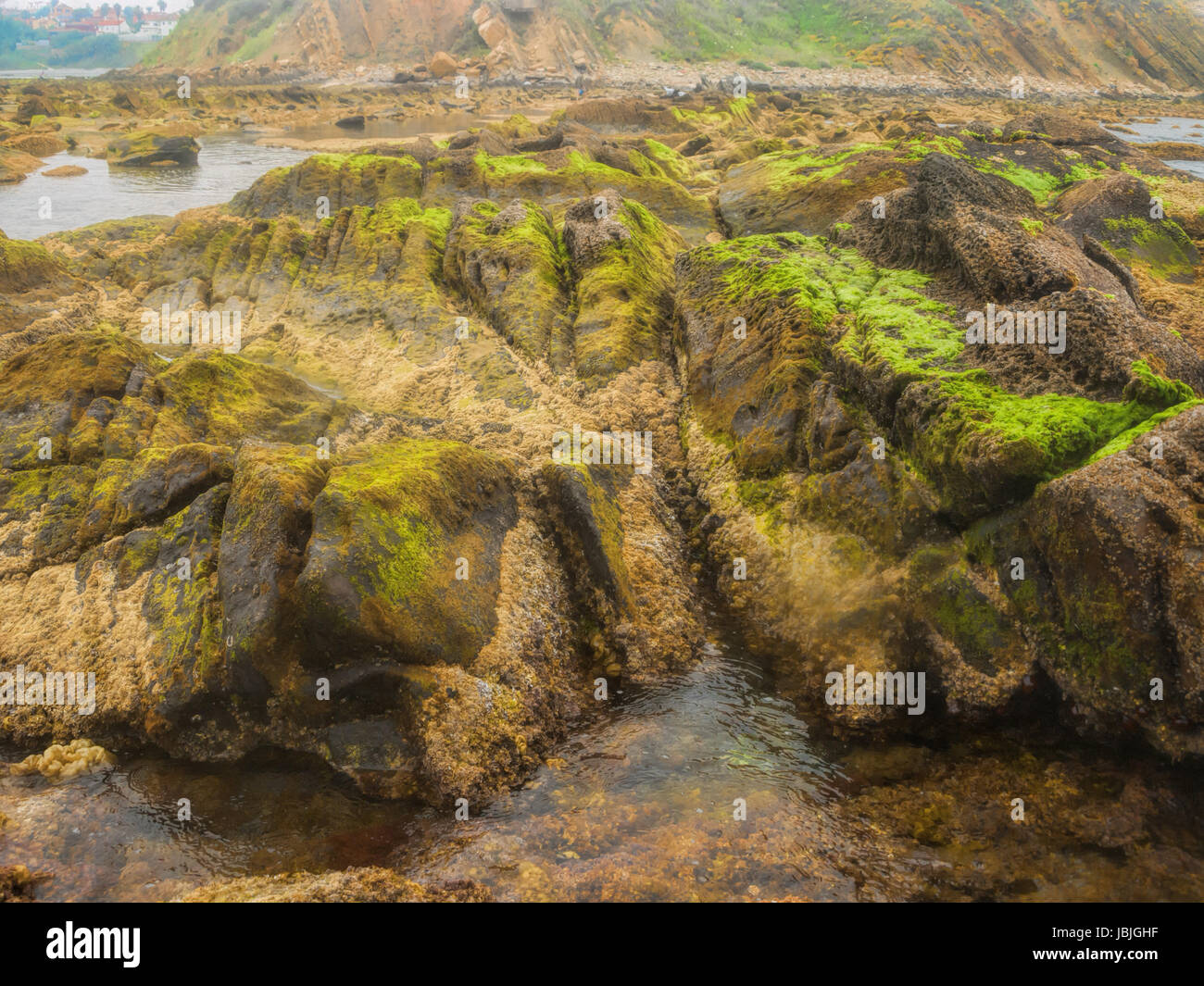 dangerous rocks on the coastline in the fog. Parque de centenario ...
