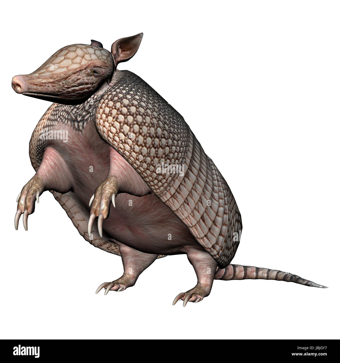 Little armadillo Cut Out Stock Images & Pictures - Alamy