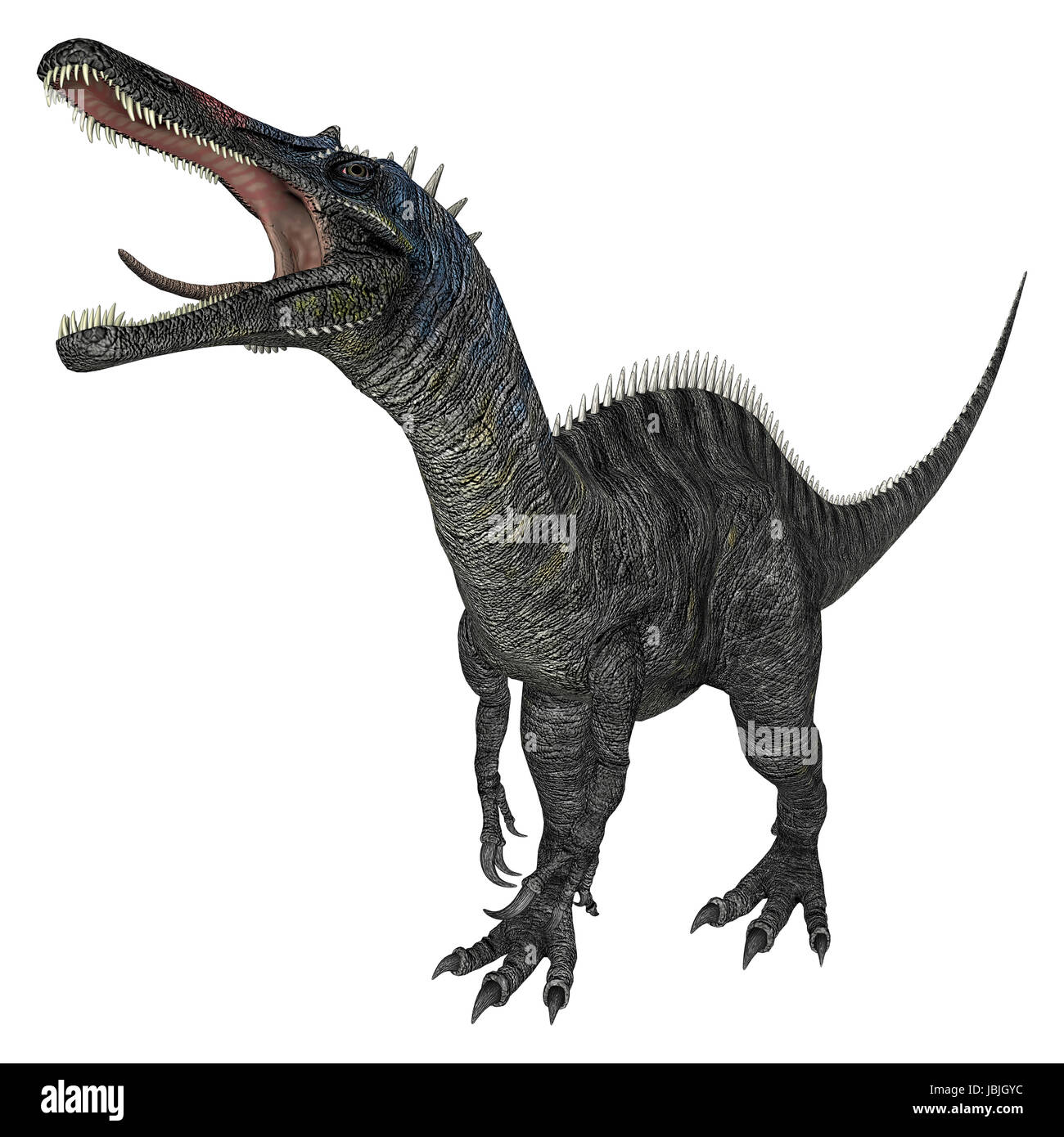 3D digital render of a dinosaur Suchomimus isolated on white background ...