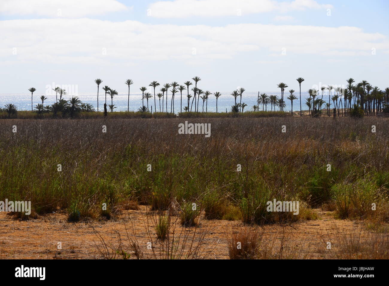 Fata morgana water mirage hi-res stock photography and images - Alamy
