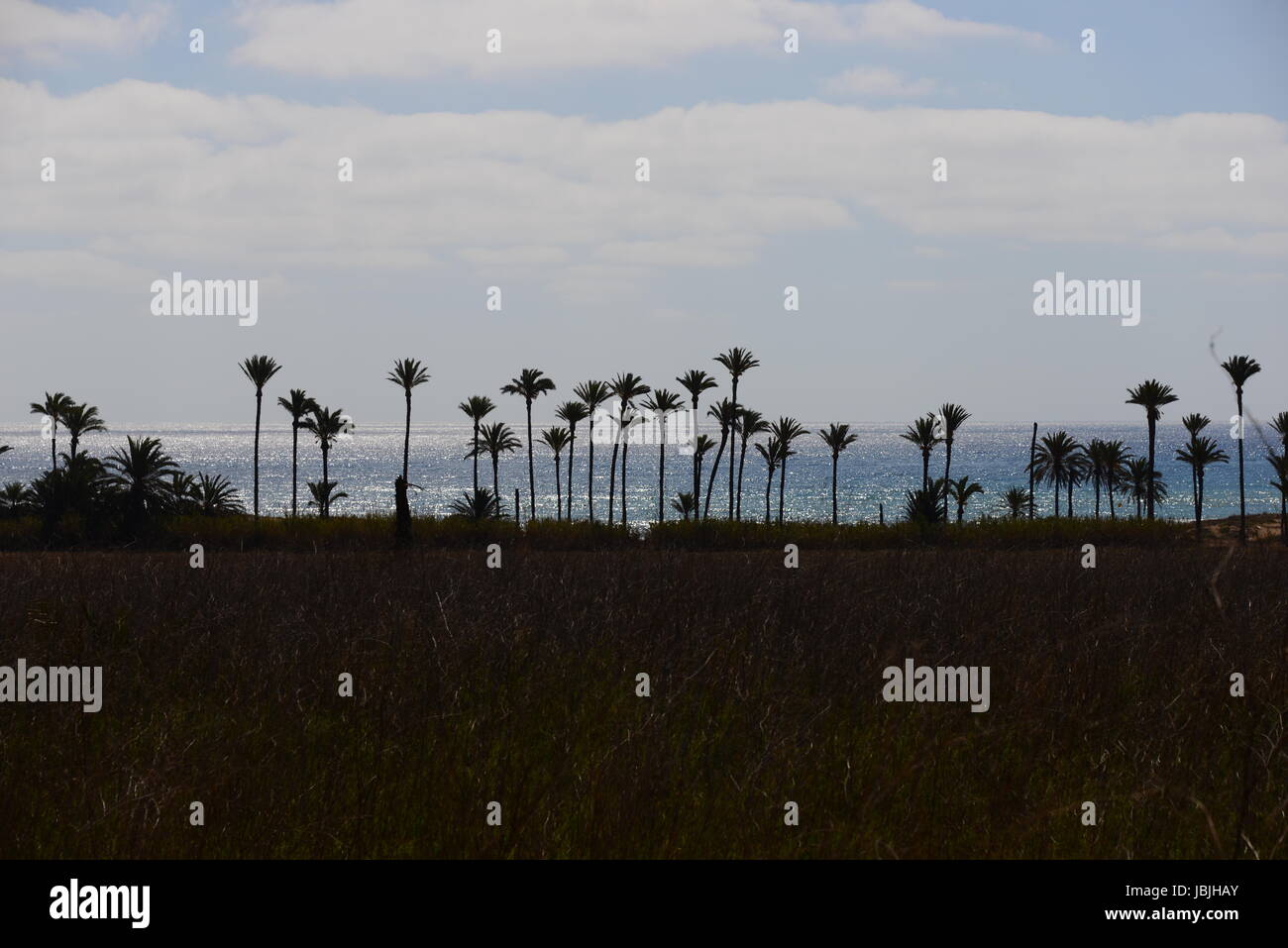 Heavenly oasis hi-res stock photography and images - Alamy