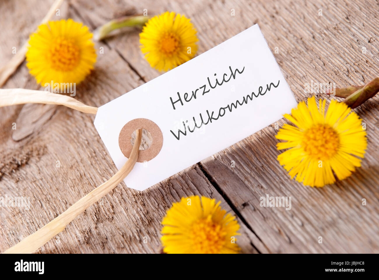 White Banner with the German Words Herzlich Willkommen which means ...