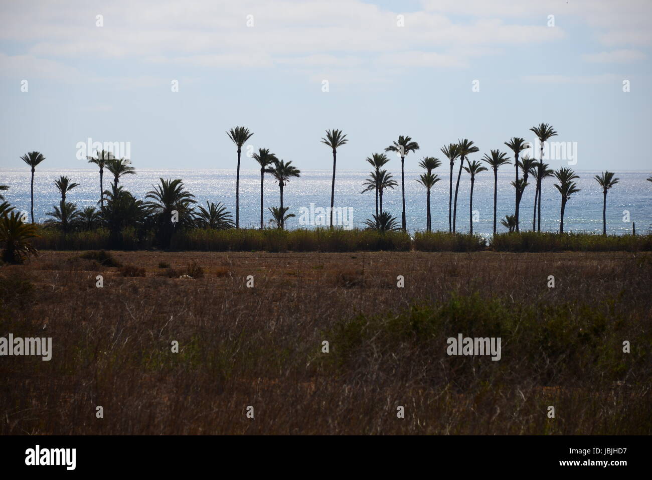 Heavenly oasis hi-res stock photography and images - Alamy