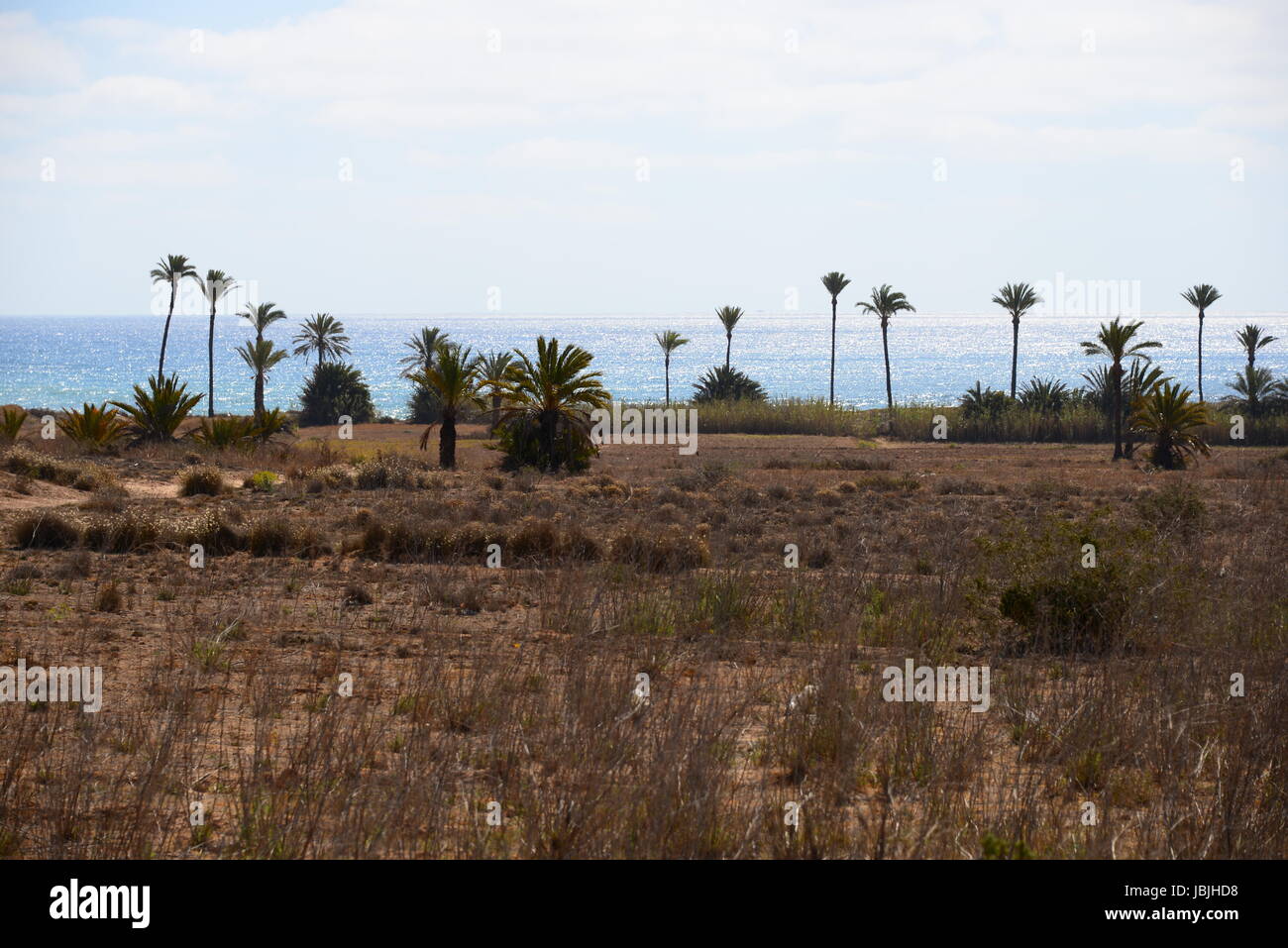Heavenly oasis hi-res stock photography and images - Alamy