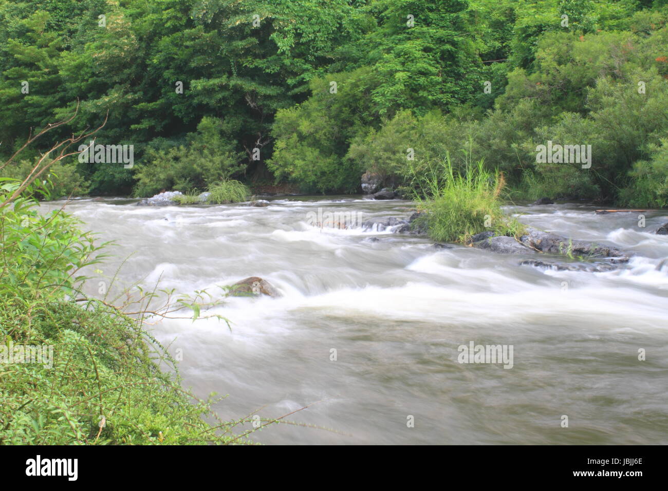 River in deep forest, river in evergreen forest in Thailand Stock Photo ...