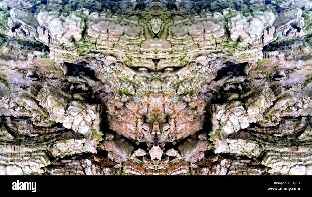 Dragon Bark Abstract, Macro Tree bark, fantasy dragon Stock Photo - Alamy