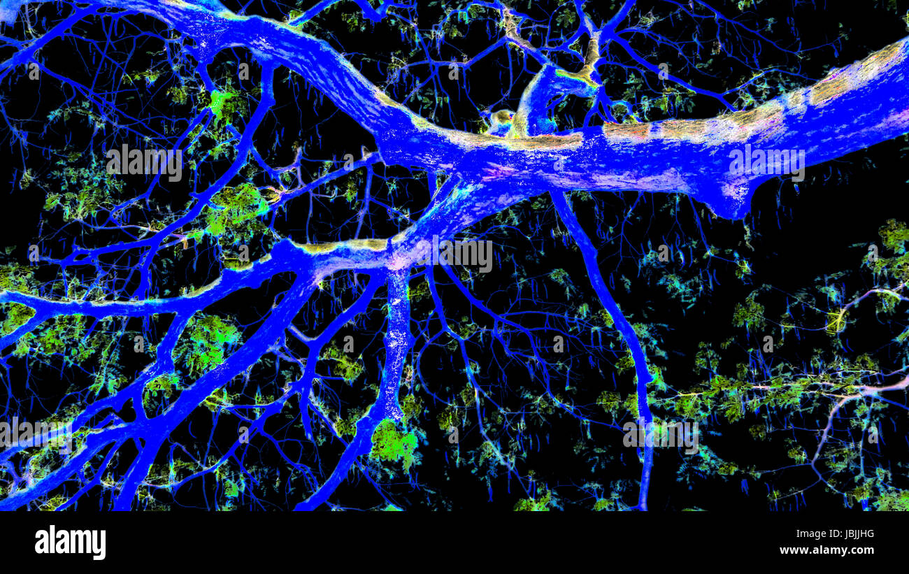 Inverted Tree Branch,digital abstract, blue branch with black ...