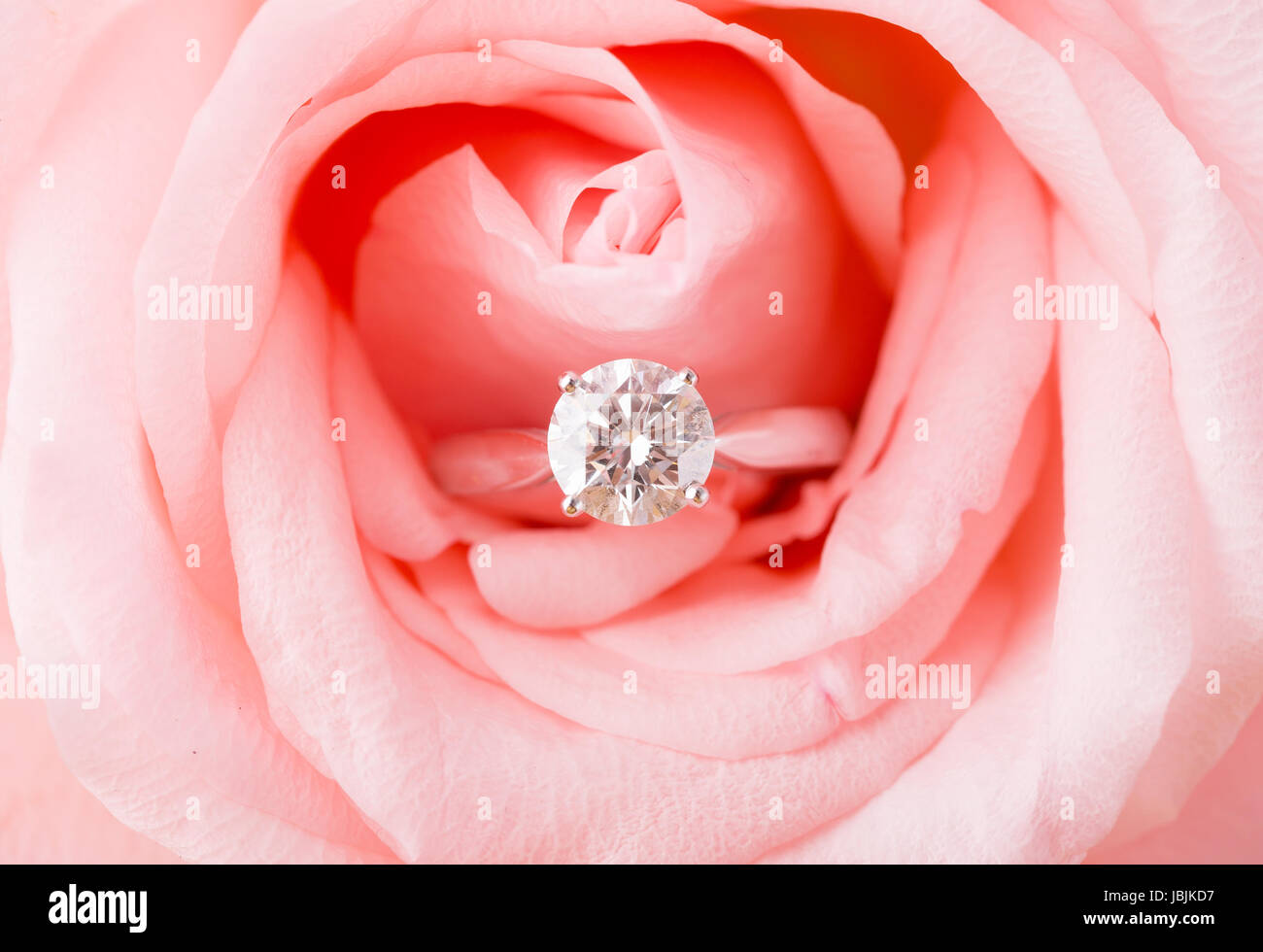 Rose and diamond Stock Photo - Alamy