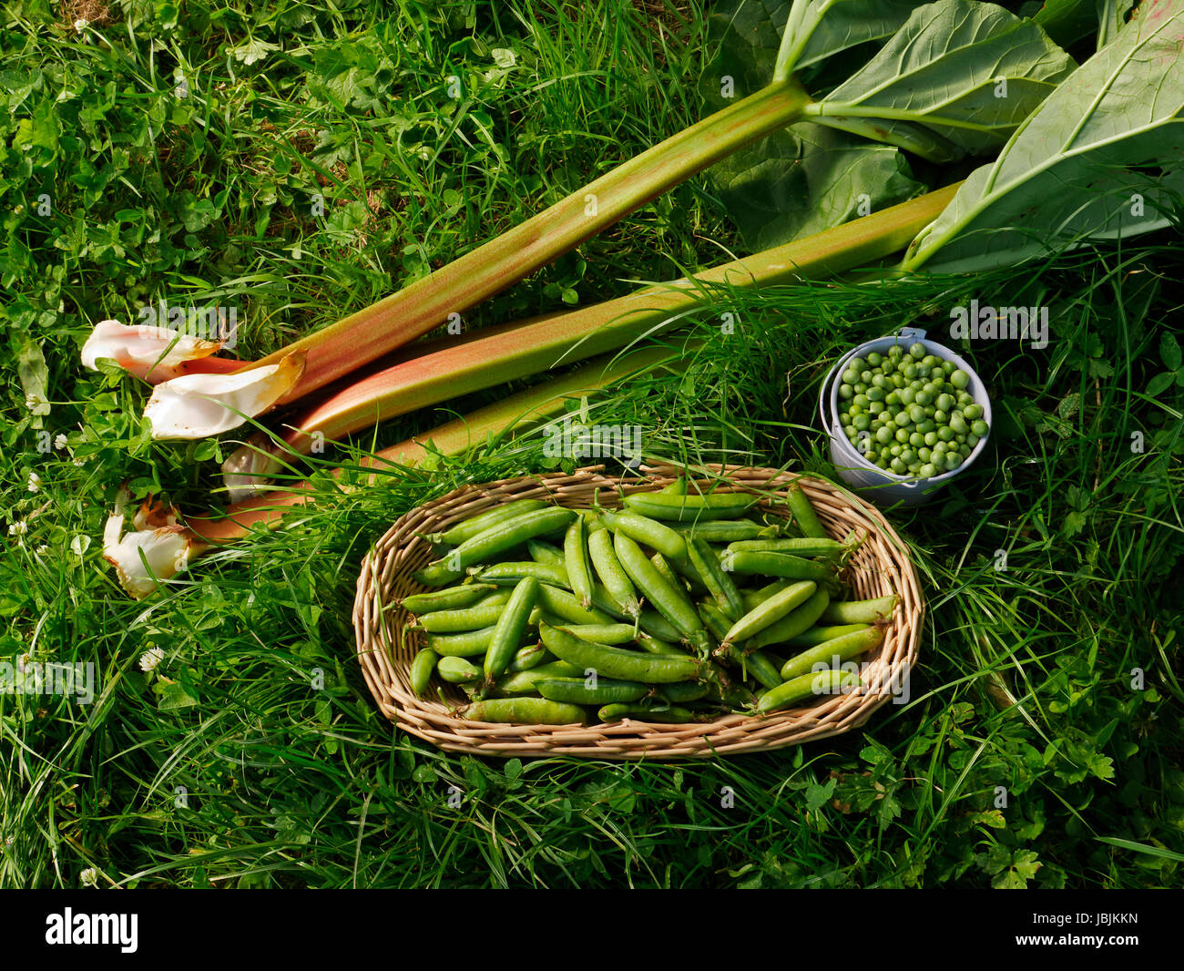 Grass peas hi-res stock photography and images - Alamy