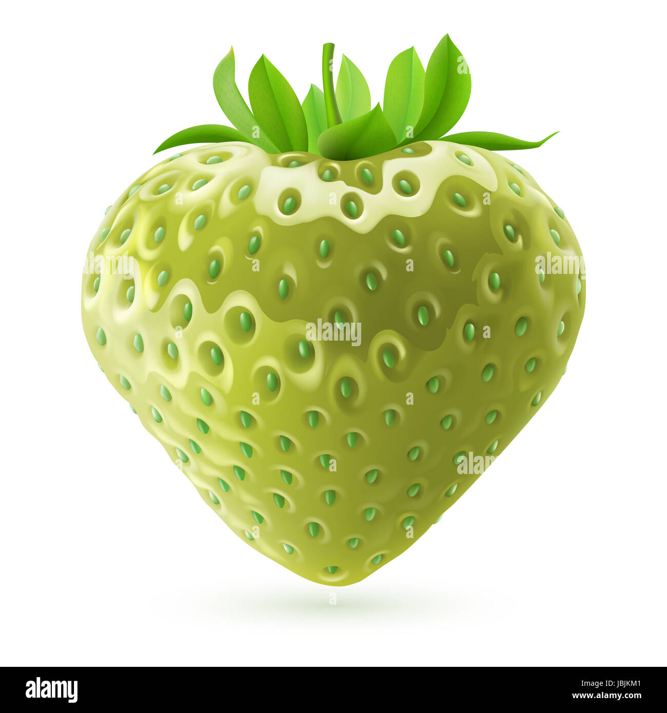 Realistic illustration of unripe strawberry on white background Stock ...