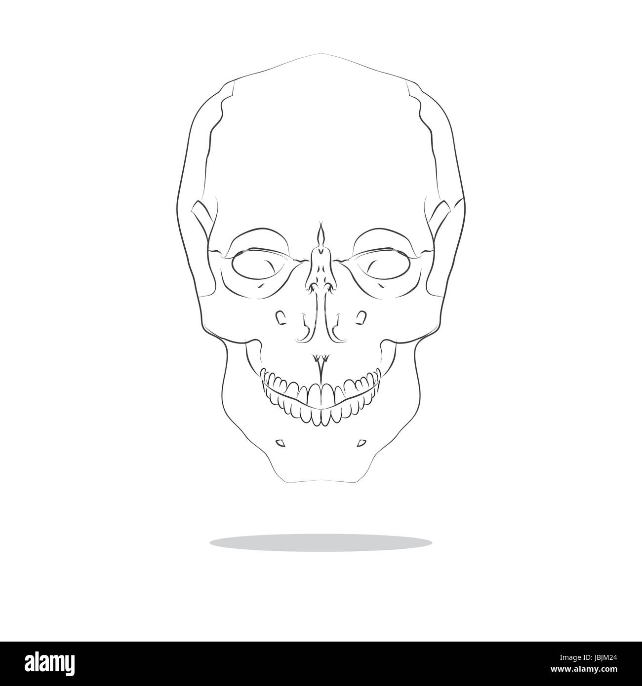 Vector scull Black and White Stock Photos & Images - Alamy