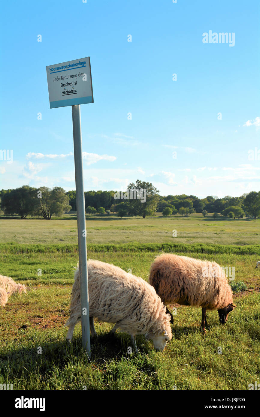 Dummy signal hi-res stock photography and images - Alamy
