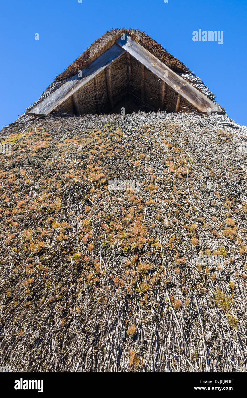 The roof covered with straw, close-up Stock Photo - Alamy