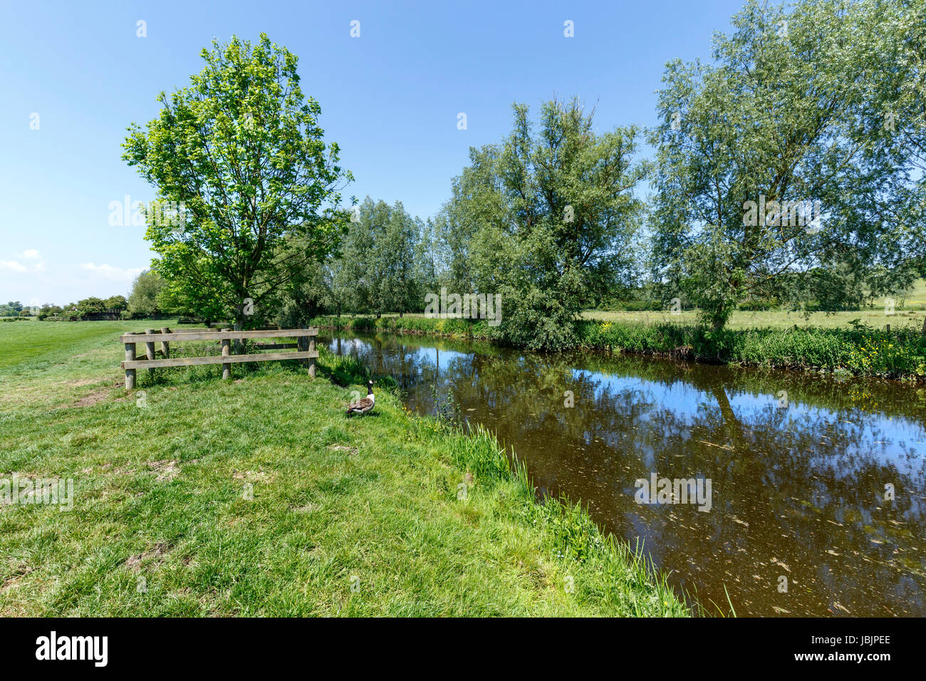 Boating scenes hi-res stock photography and images - Alamy