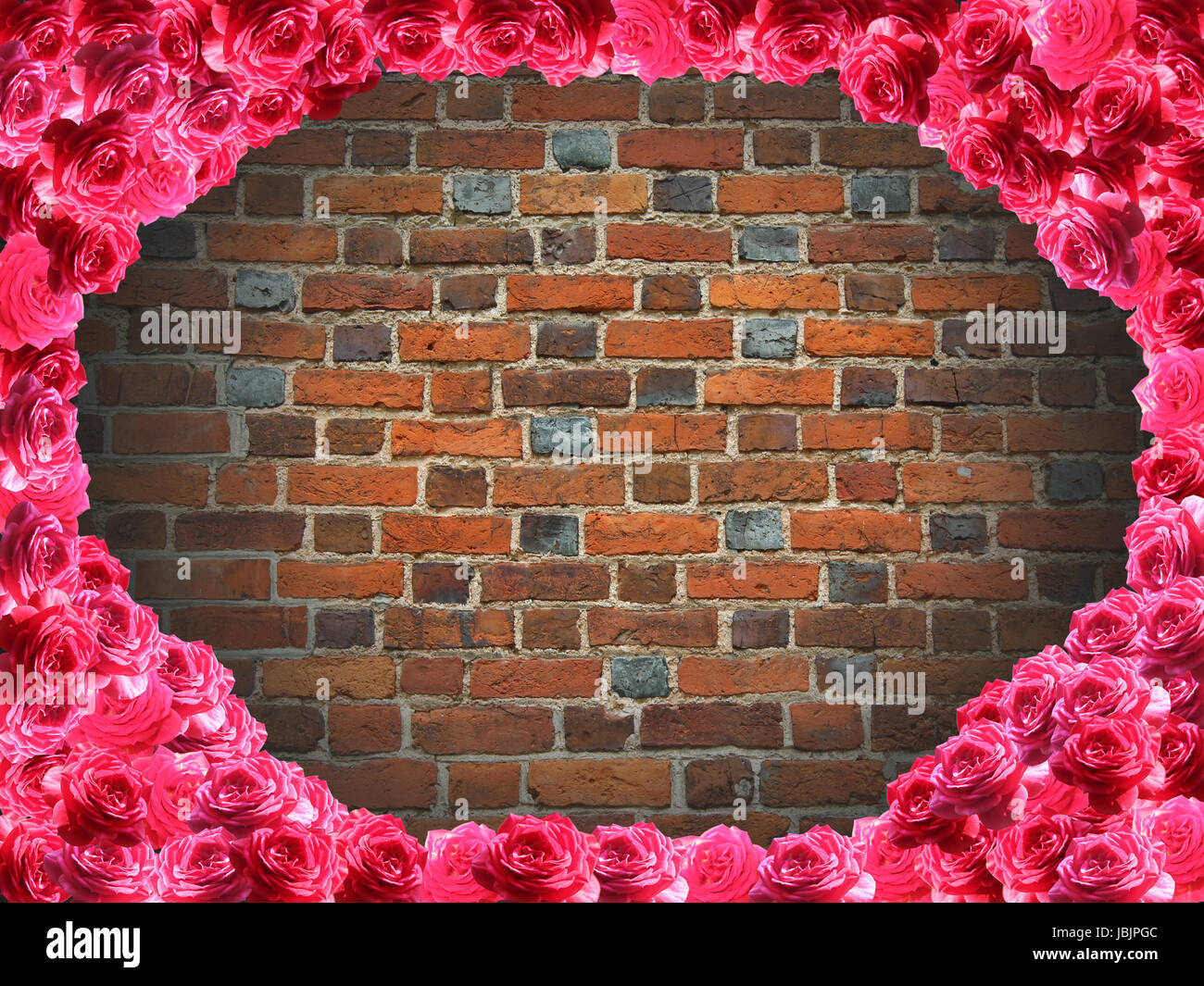 frame from red roses and background from wall from the red brick Stock ...