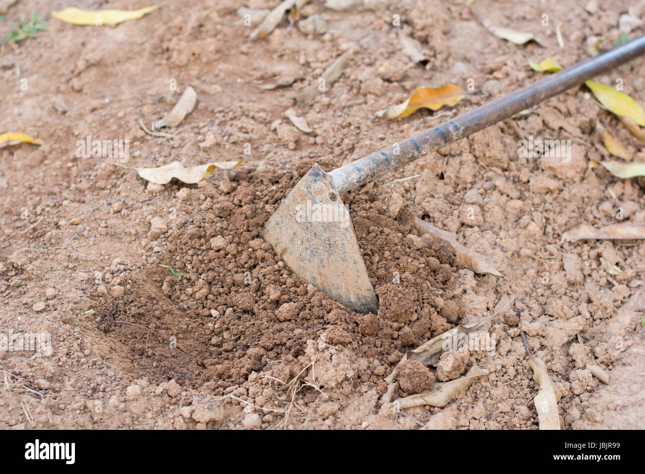 hoe in the garden Stock Photo - Alamy