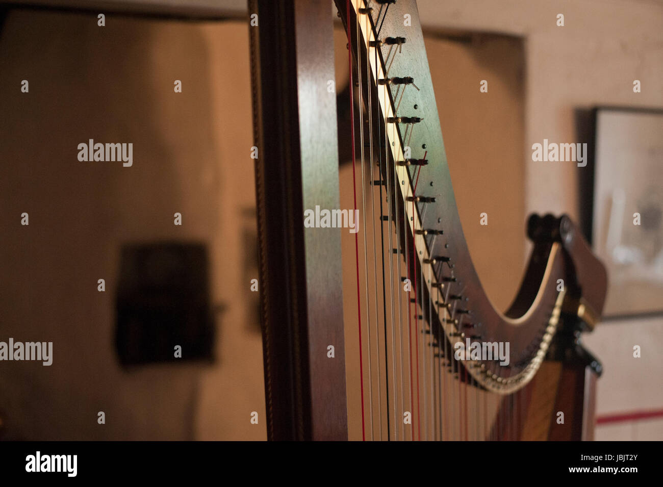 one of 16 pictures of the welsh Triple Harp taken in natural light at a ...