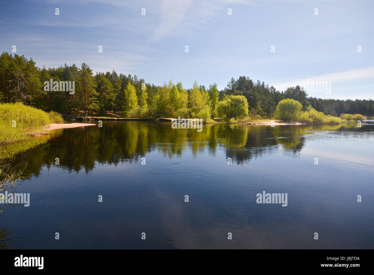 Spring morning on the forest river. May water landscape in the national ...